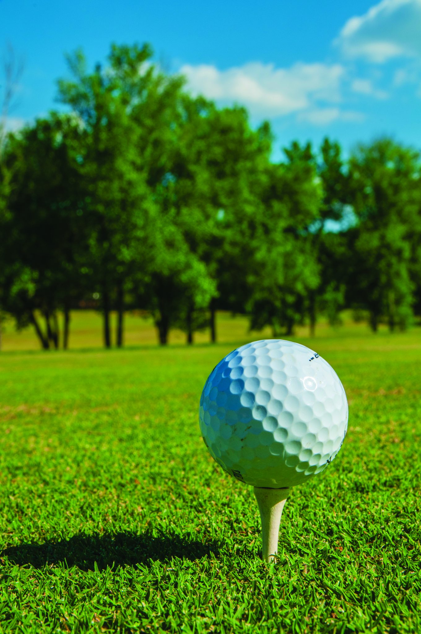 get tee'd up - Read V3