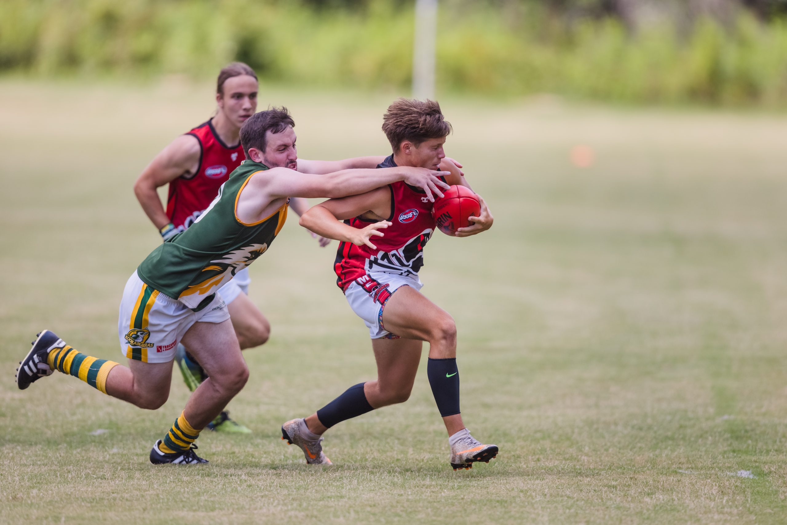 The Rome Redbacks: A Sports Sensation from Down Under - Read V3