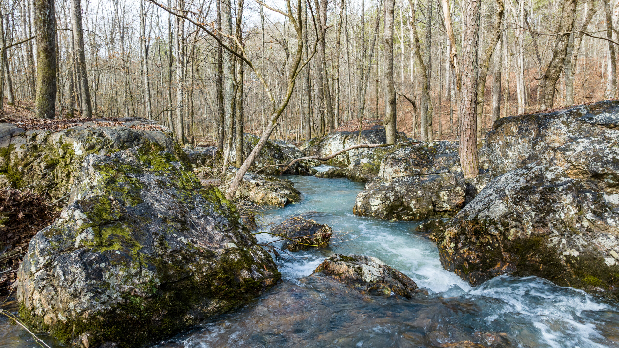 Hardy Home: A Creekside Canvas - Read V3